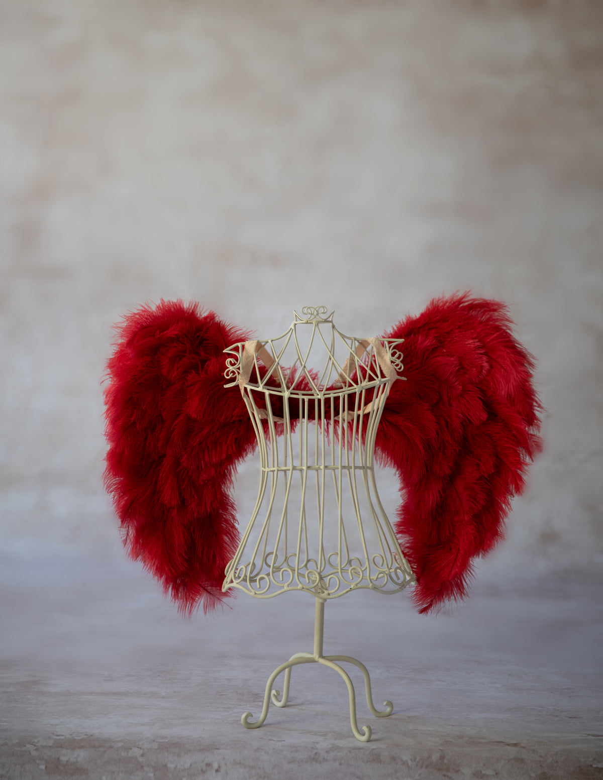 Red Baby Angel Wings-Ready to Ship — Kyndra Jade